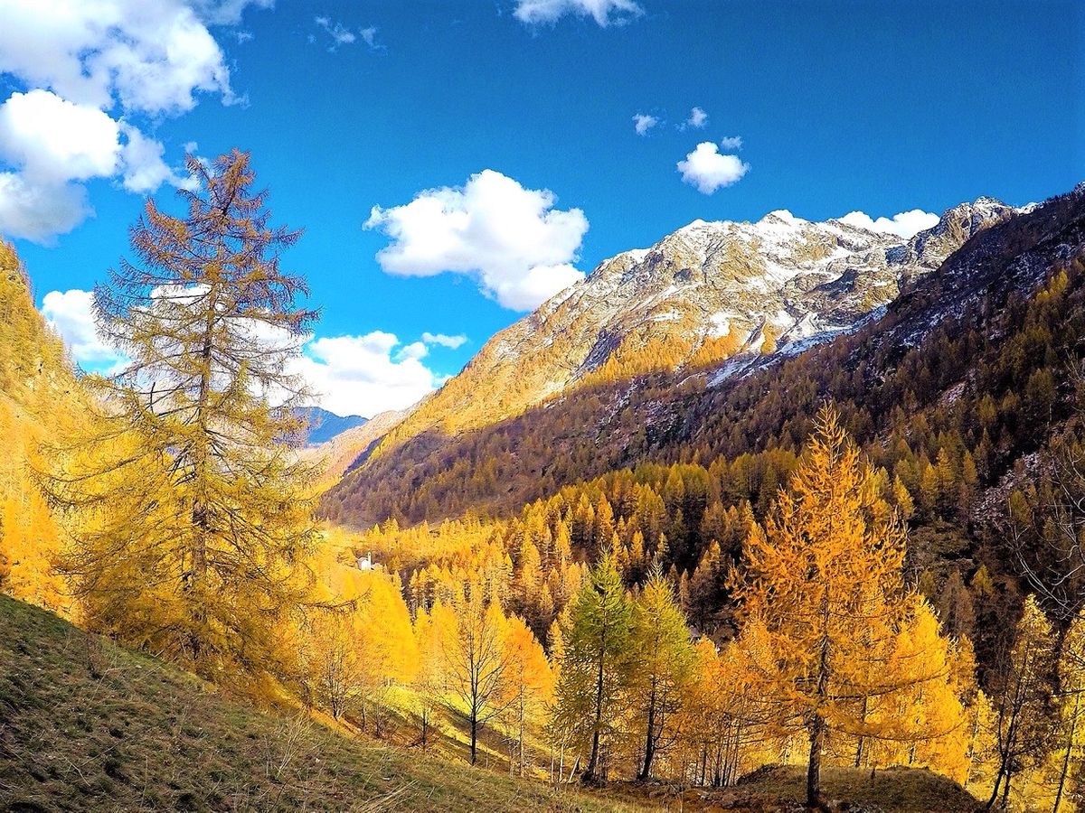 Val Vogna: Il Piccolo Mondo Antico celato in Valsesia (VC) | Meeters