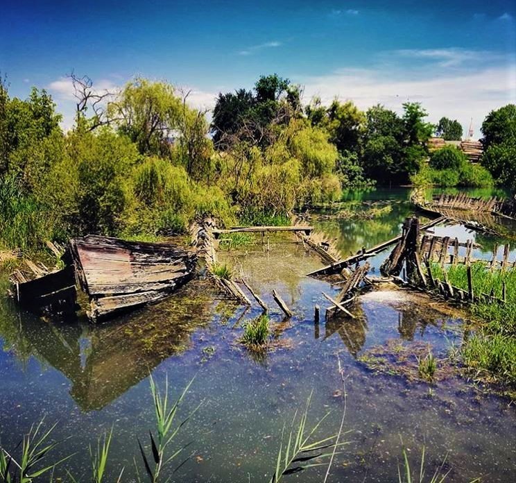 Una Dolce Passeggiata nel Parco Naturale del Fiume Sile - MATTINA | Meeters