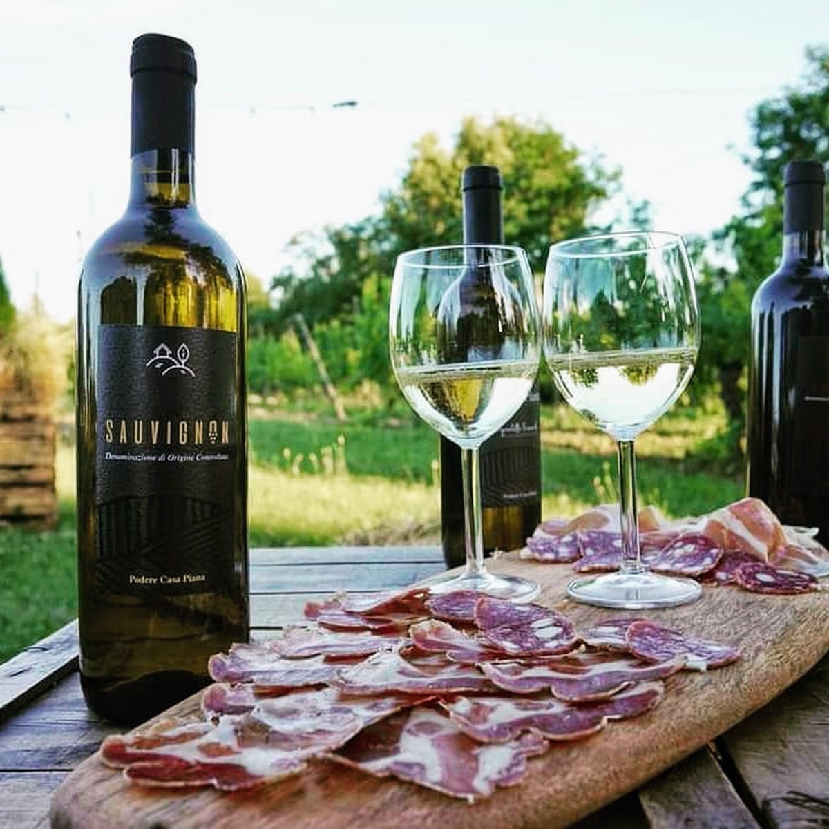 Visita Guidata tra Vigna, Cantina ed Alveari sulle Colline Bolognesi ...