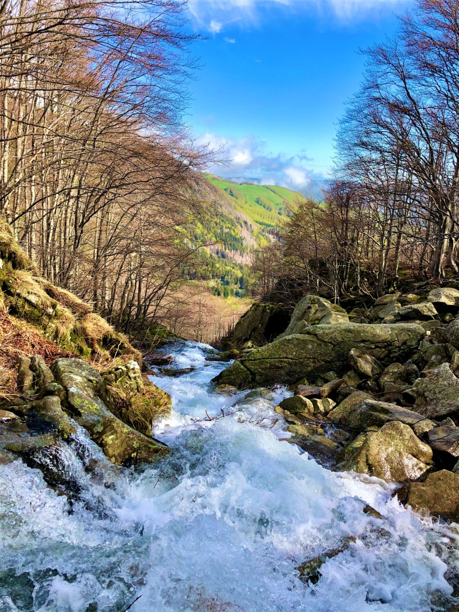 Il Lago Santo Parmense: Trekking in Simbiosi con la Natura | Meeters