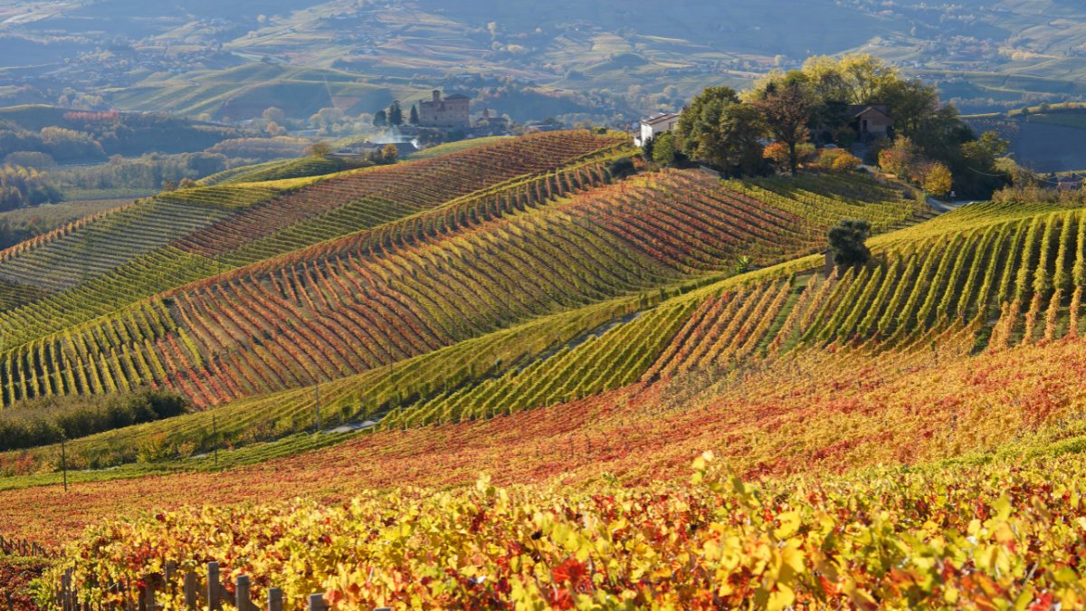 "Mira il Bello": Un Percorso sulle Colline del Monferrato | Meeters