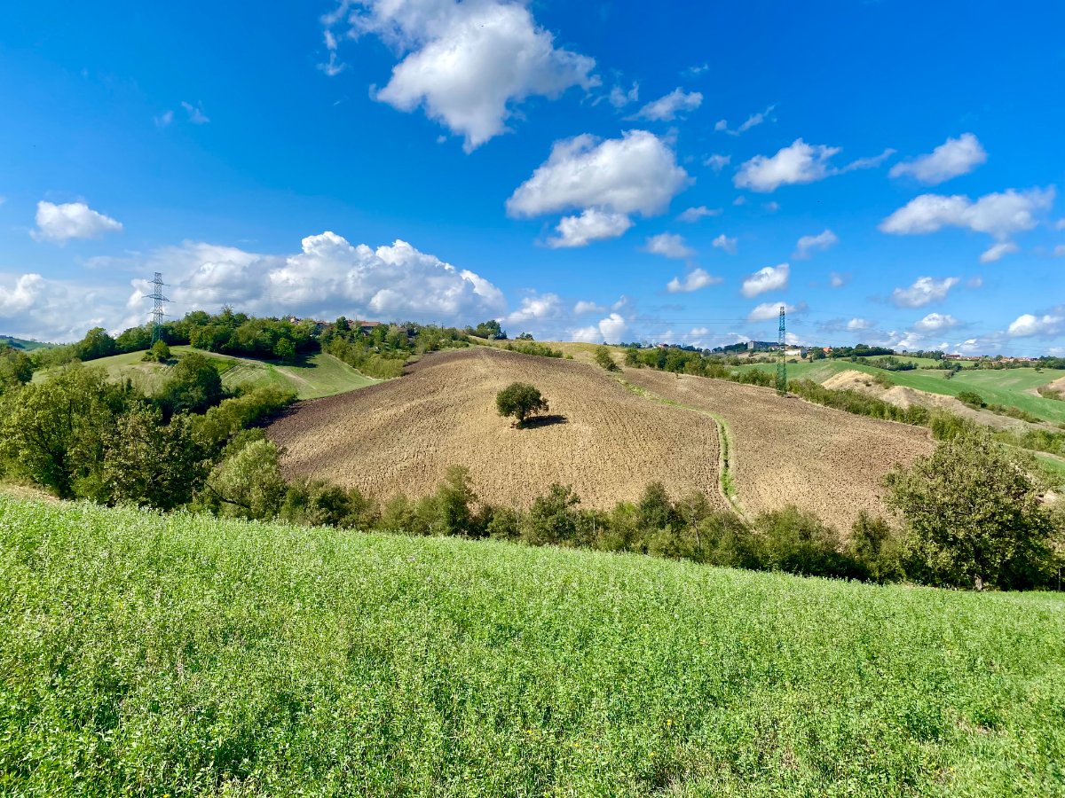 Trekking con degustazione sui colli parmensi: tra calanchi e Barboj ...