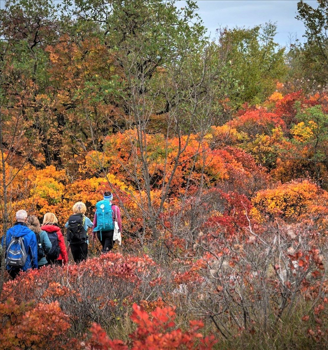 Trekking tra i colori autunnali: pietre e vigneti del Carso Triestino ...