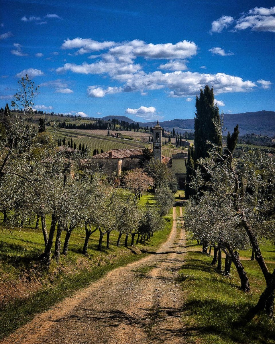 Escursione dal Borgo medievale di Volpaia alle Colline del Chianti ...