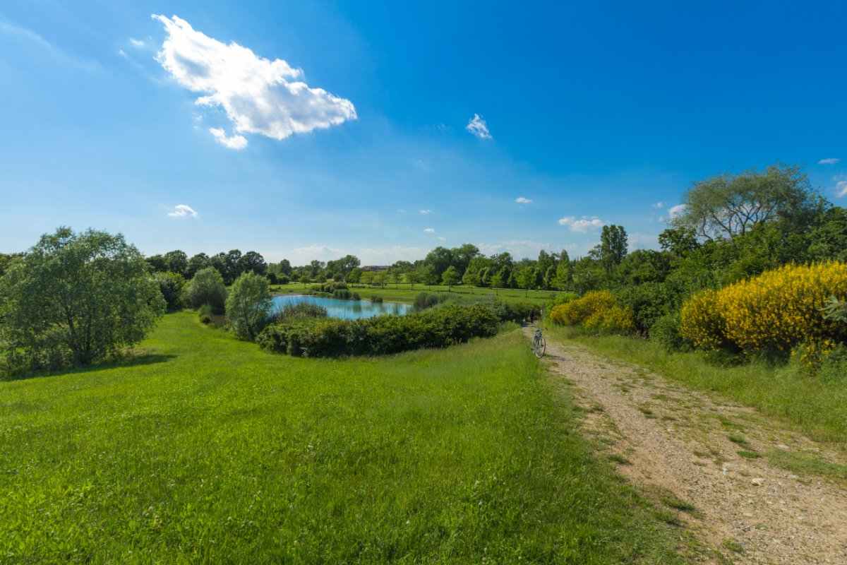 Passeggiata nel Parco Nord Milano: la mostra immersiva Dentro le ...