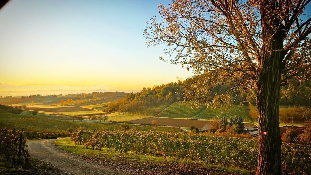 Passeggiata tra le colline del Monferrato intorno a Terruggia | Meeters