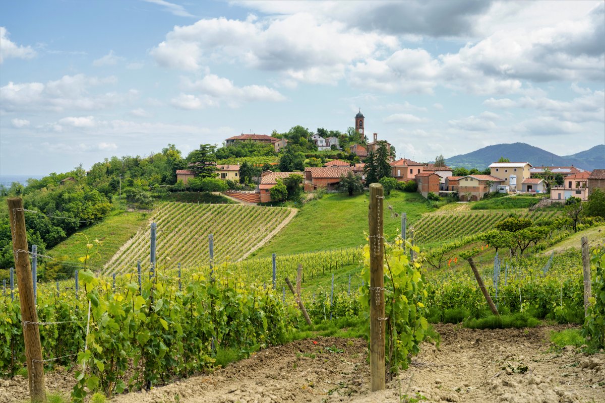 Escursione ad anello in Monferrato: i Borghi e le colline di Monleale ...