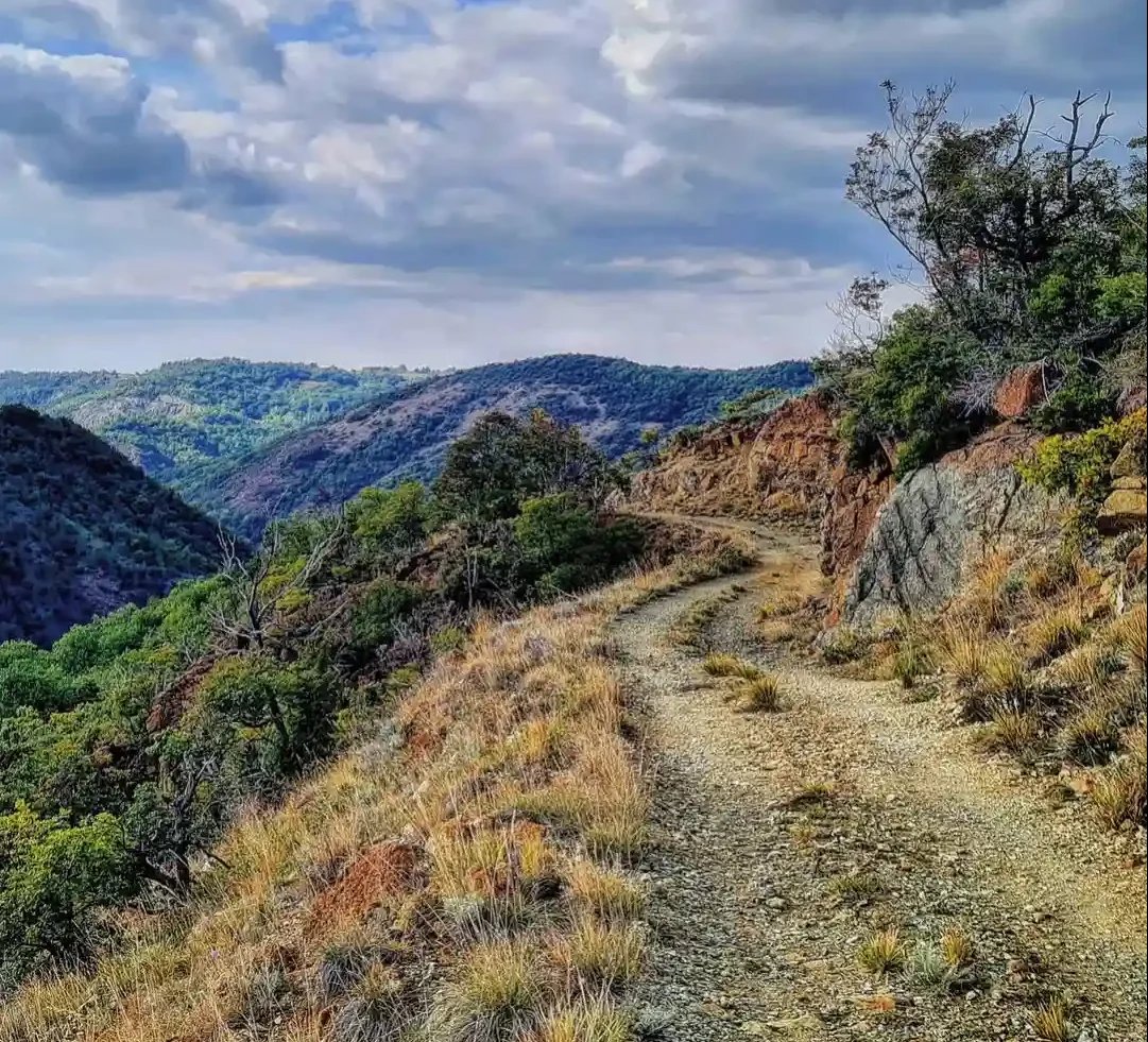 Itinerario sui suggestivi sentieri di Cimaferle nel Monferrato | Meeters
